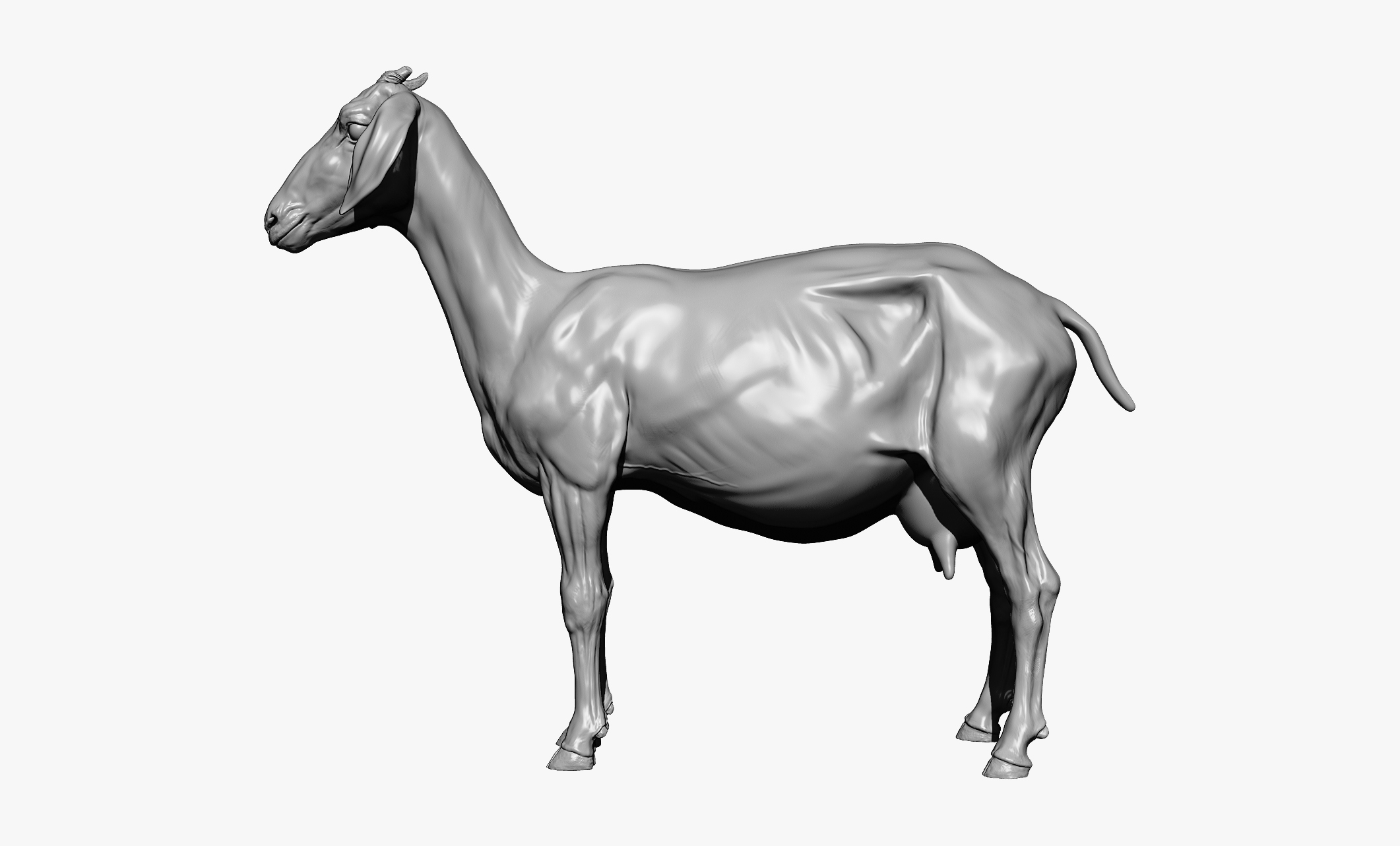 Bode Modelo 3D - TurboSquid 1672539