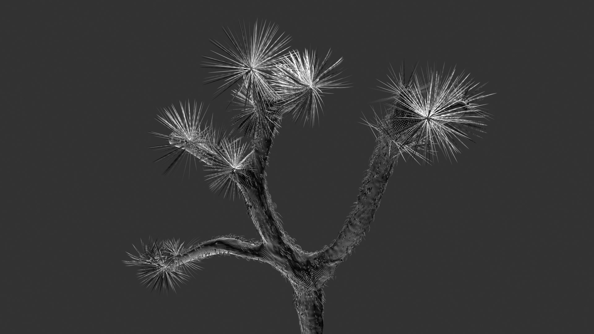 Max Desert Plant Tree