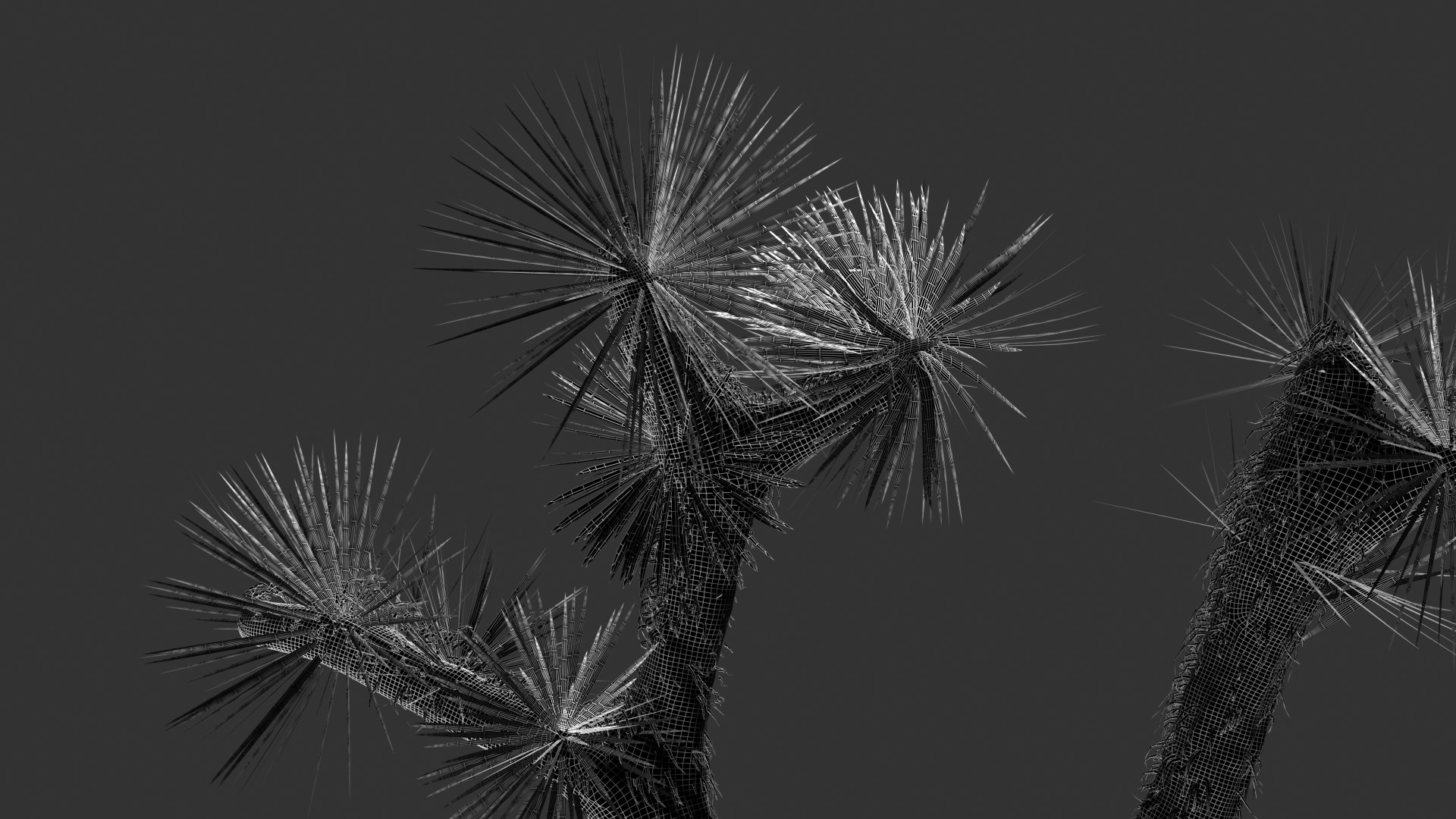 Max Desert Plant Tree