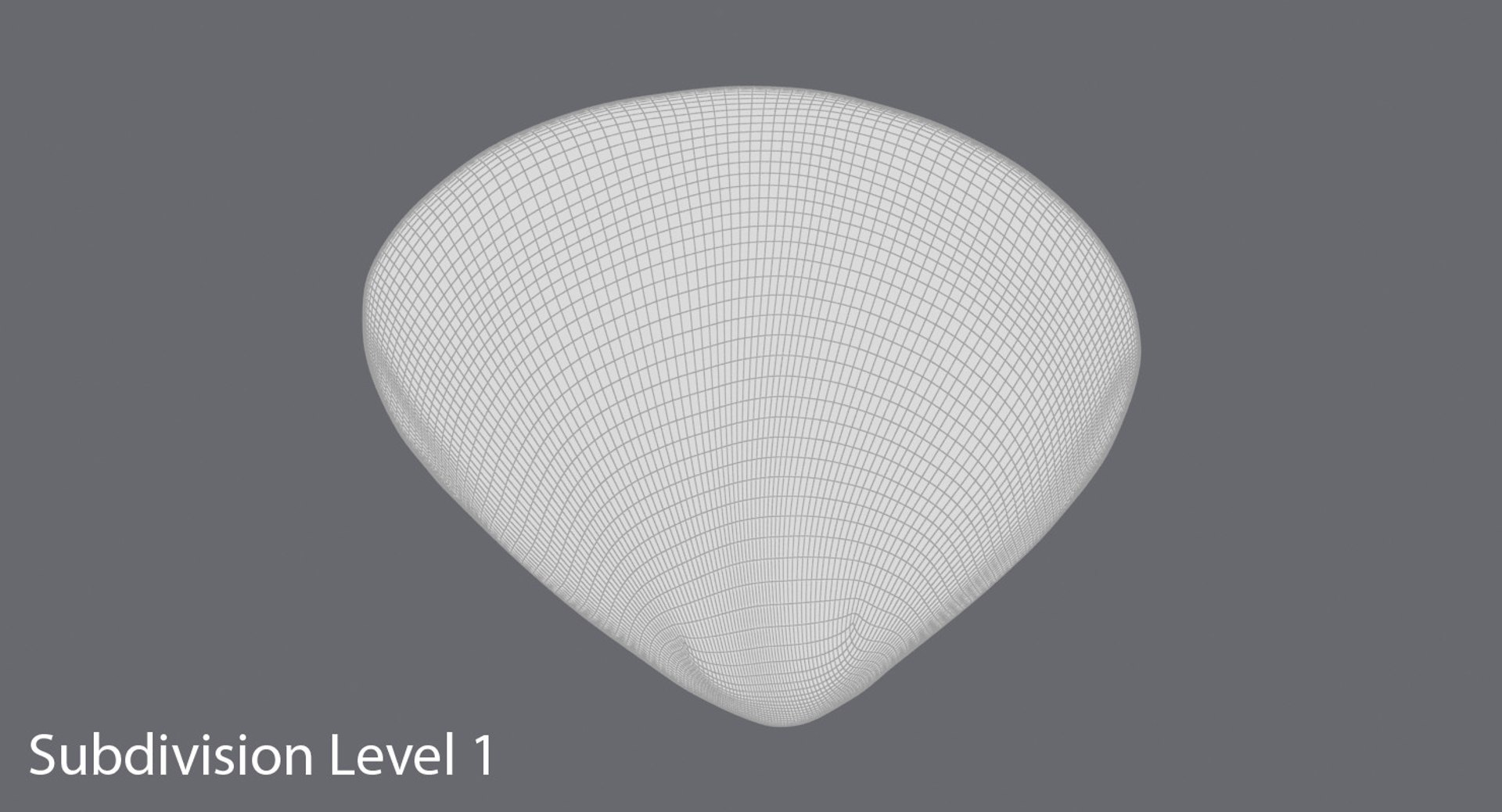 Clam-shells---shell-01 3D Model - TurboSquid 1155448