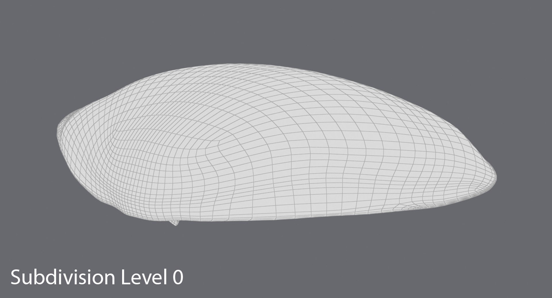 Clam-shells---shell-01 3D Model - TurboSquid 1155448