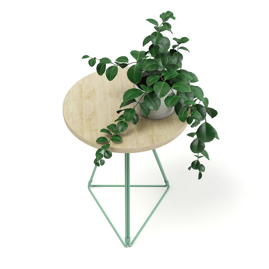 3D Table Plant - TurboSquid 1269493