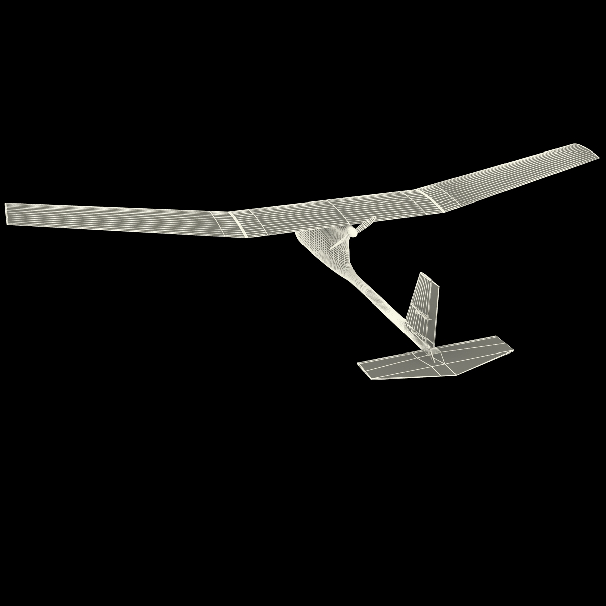 lightwave rq-11 raven unmanned aerial