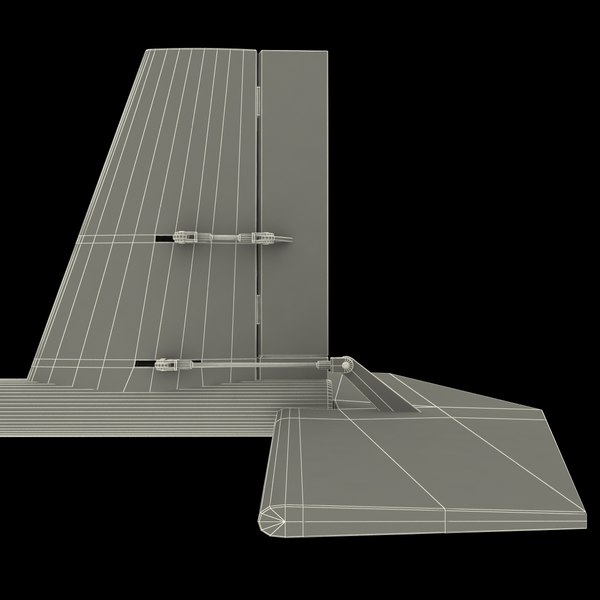 lightwave rq-11 raven unmanned aerial