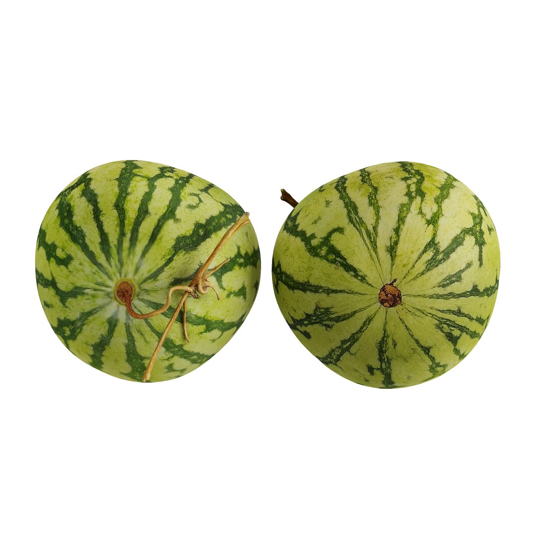 3D Watermelon - TurboSquid 2070009