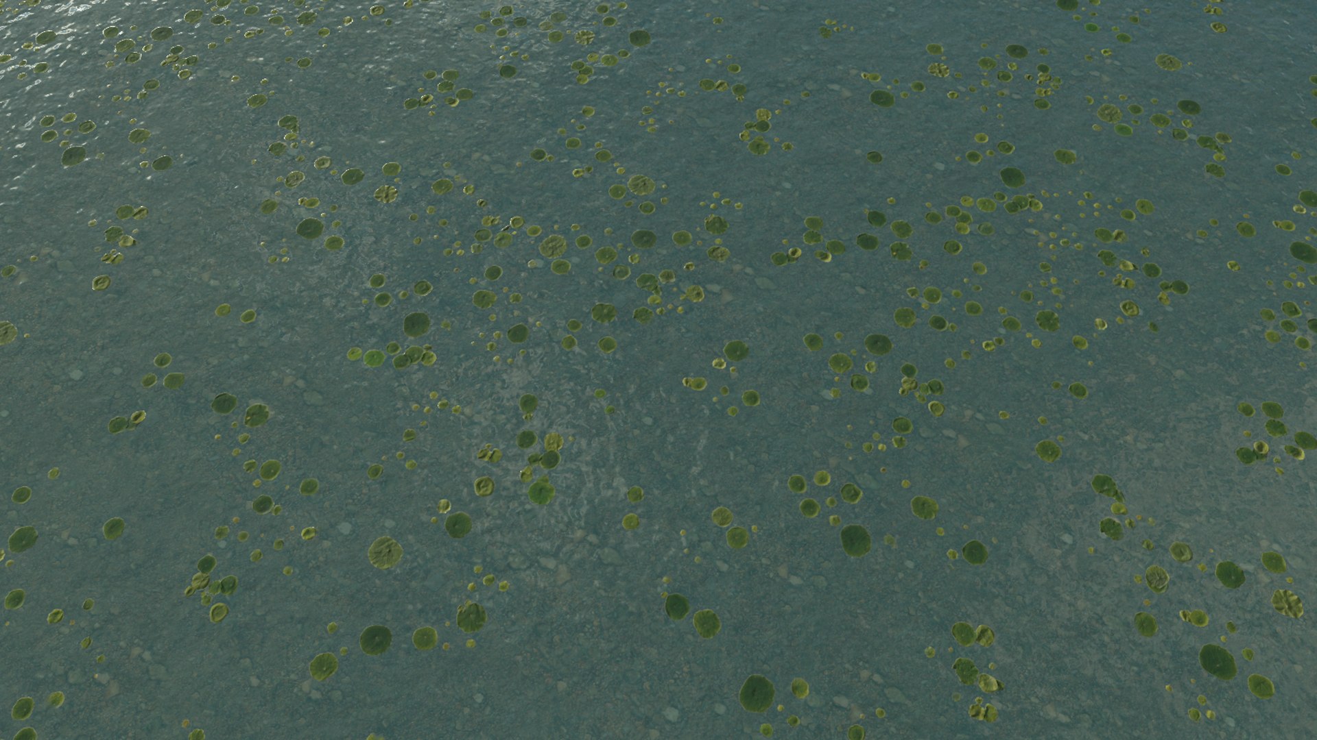 Water Lilies Textures 3D Model - TurboSquid 1811763