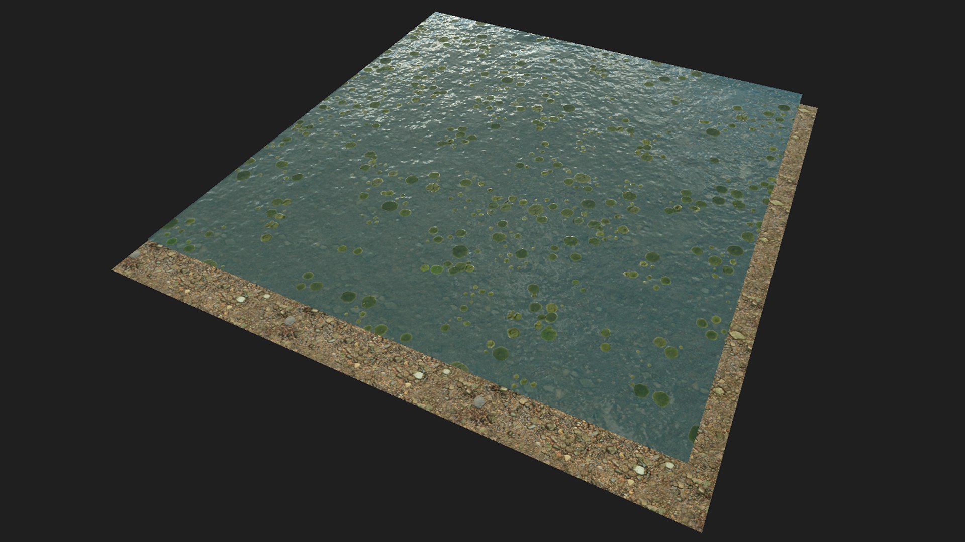 Water Lilies Textures 3D Model - TurboSquid 1811763
