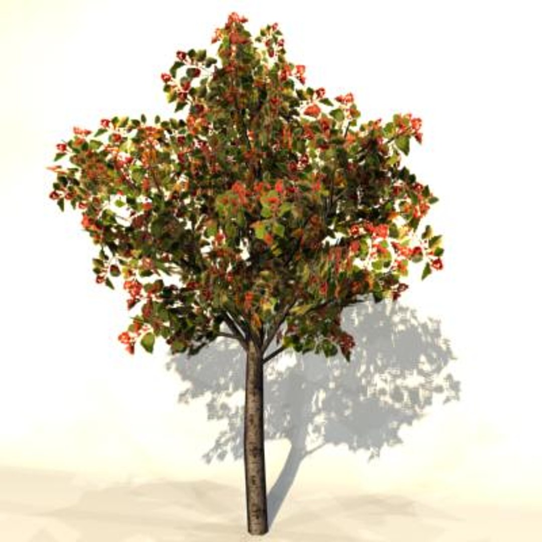 Pc Tree 3d Model