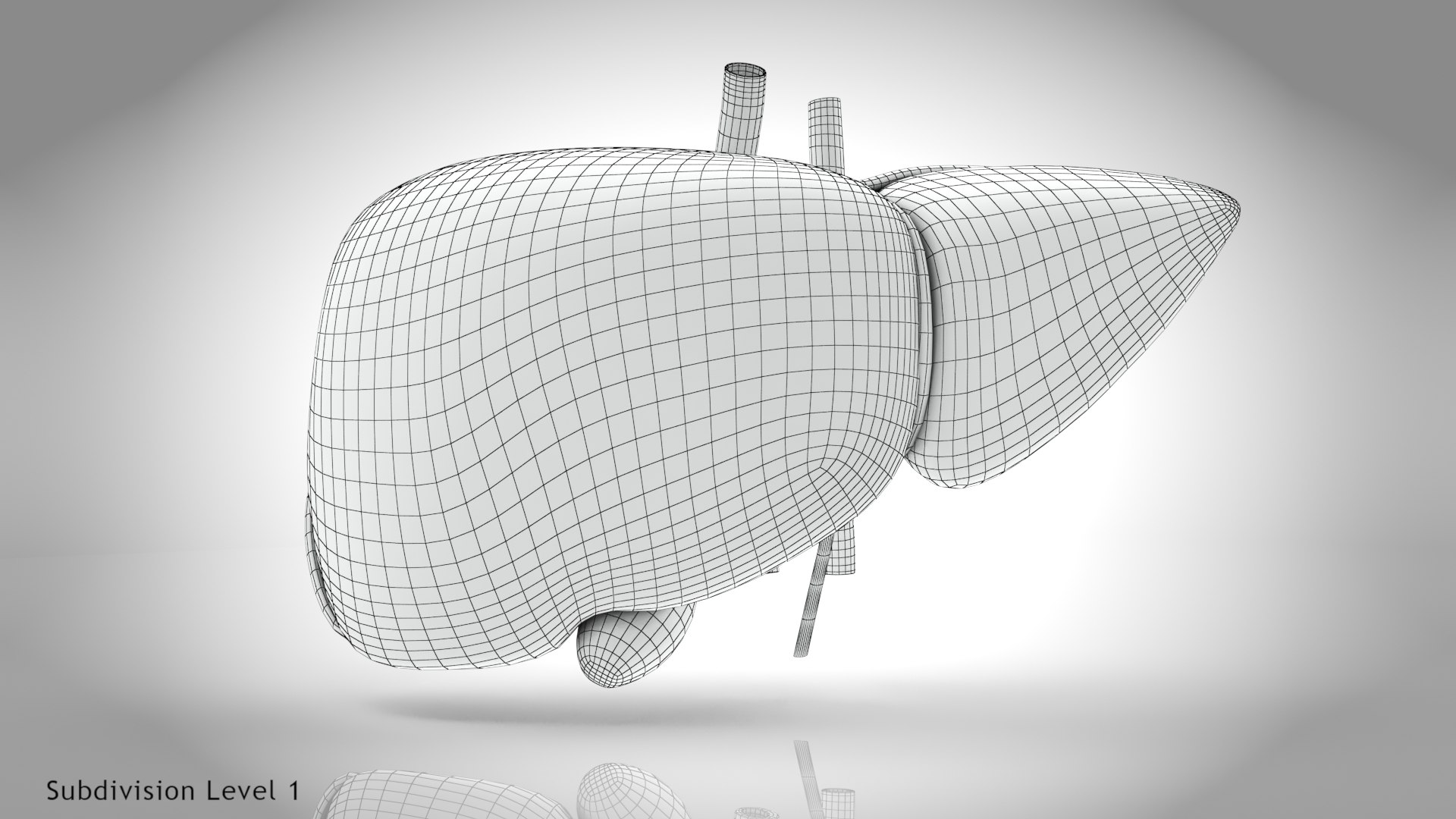 3D Model Hepatocellular Carcinoma Liver - TurboSquid 2132826