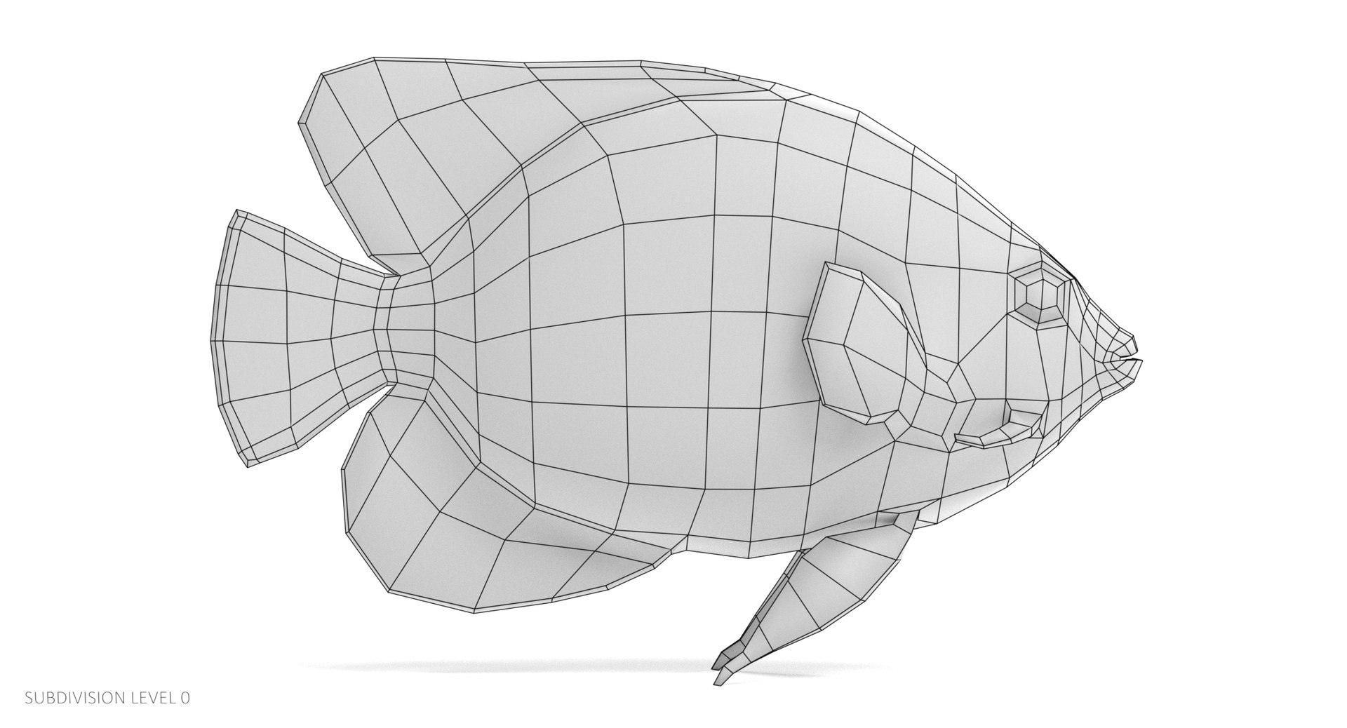 Royal angelfish 3D - TurboSquid 1246672