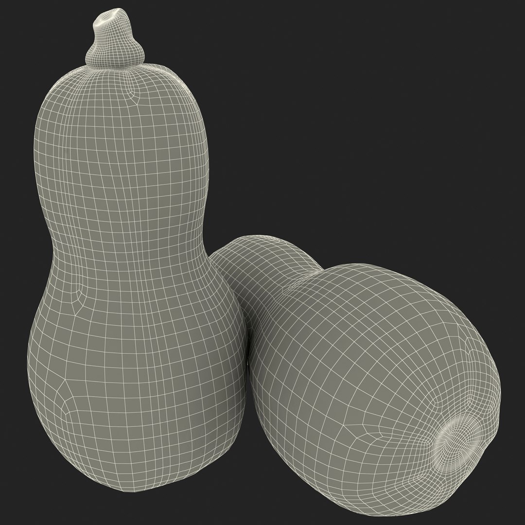 3d model butternut squash