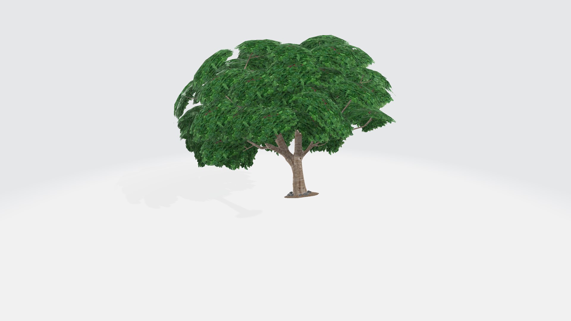 3D Fig Tree - TurboSquid 1492574