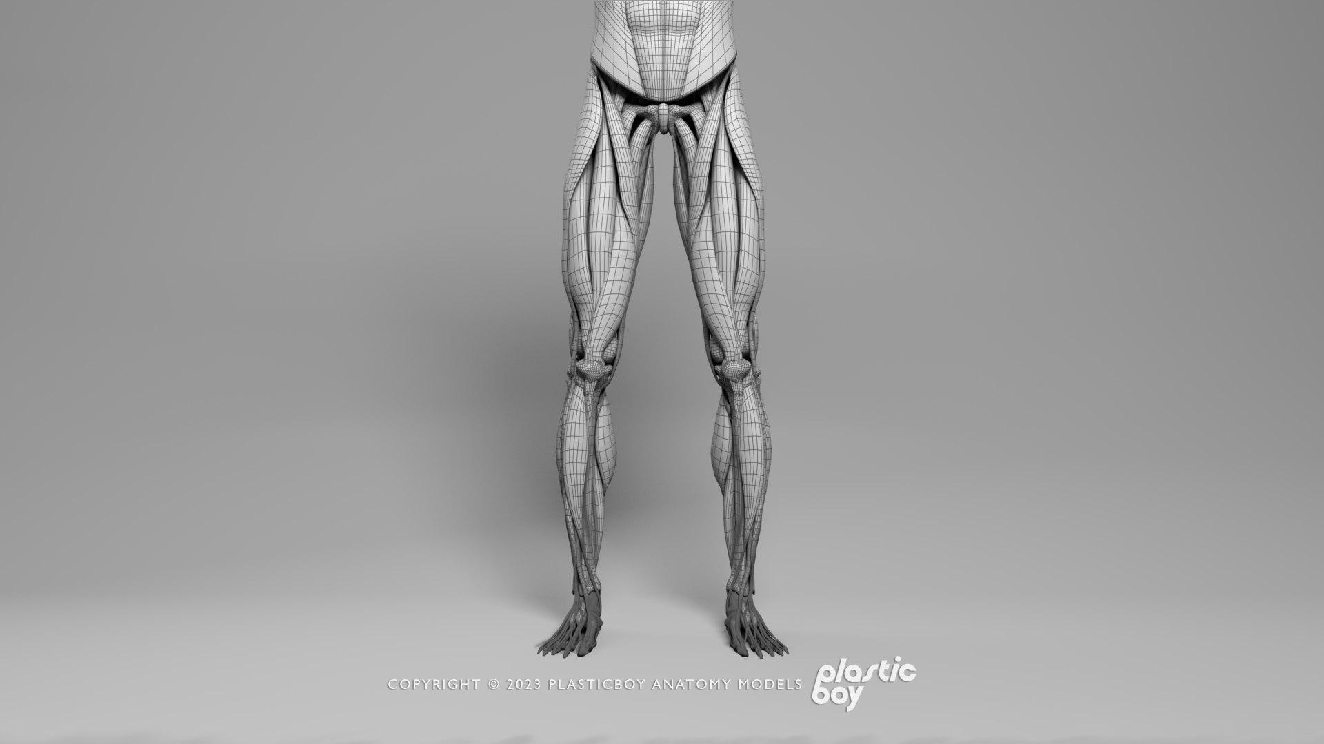 BLENDER RIGGED Complete Male Anatomy PACK V7 3D model - TurboSquid 2153551