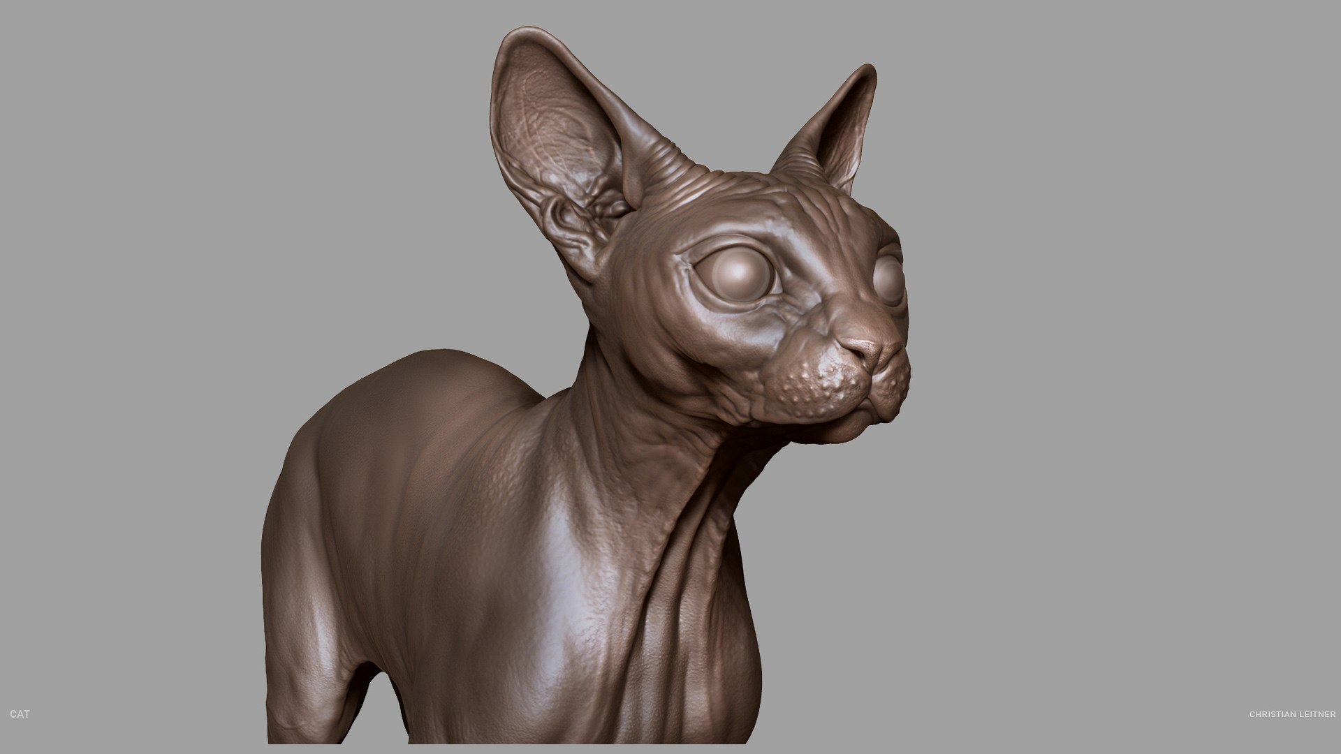 Cat model - TurboSquid 1714520