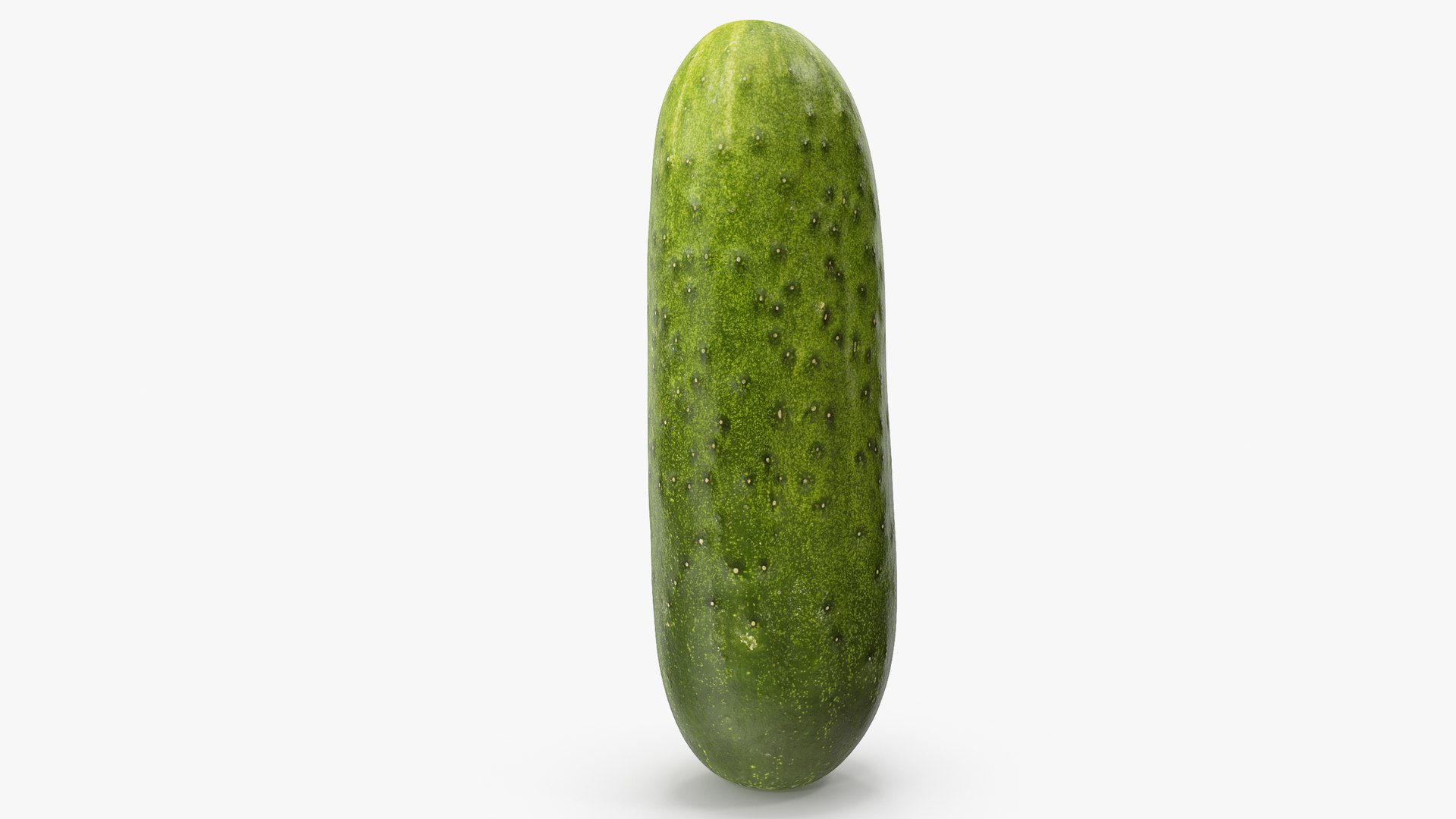 Cucumber 08 3D Model - TurboSquid 1468853