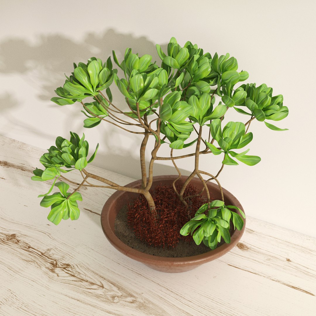 adenium 3d model