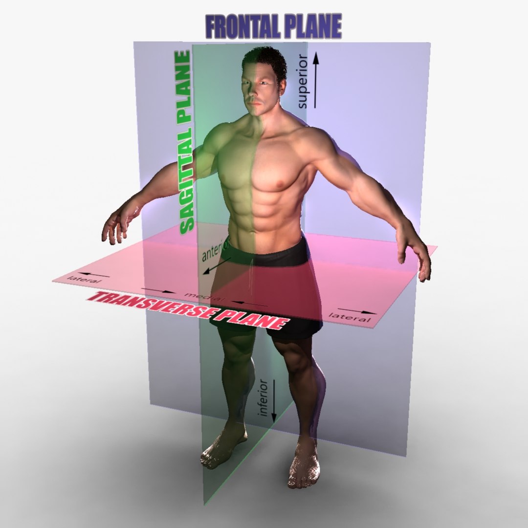 3d planes body male