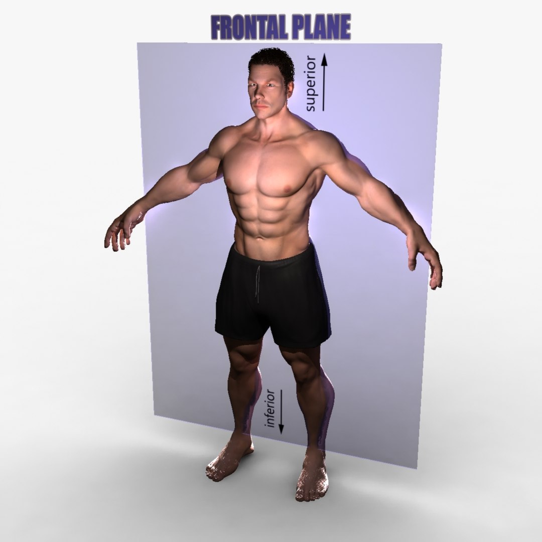 3d planes body male