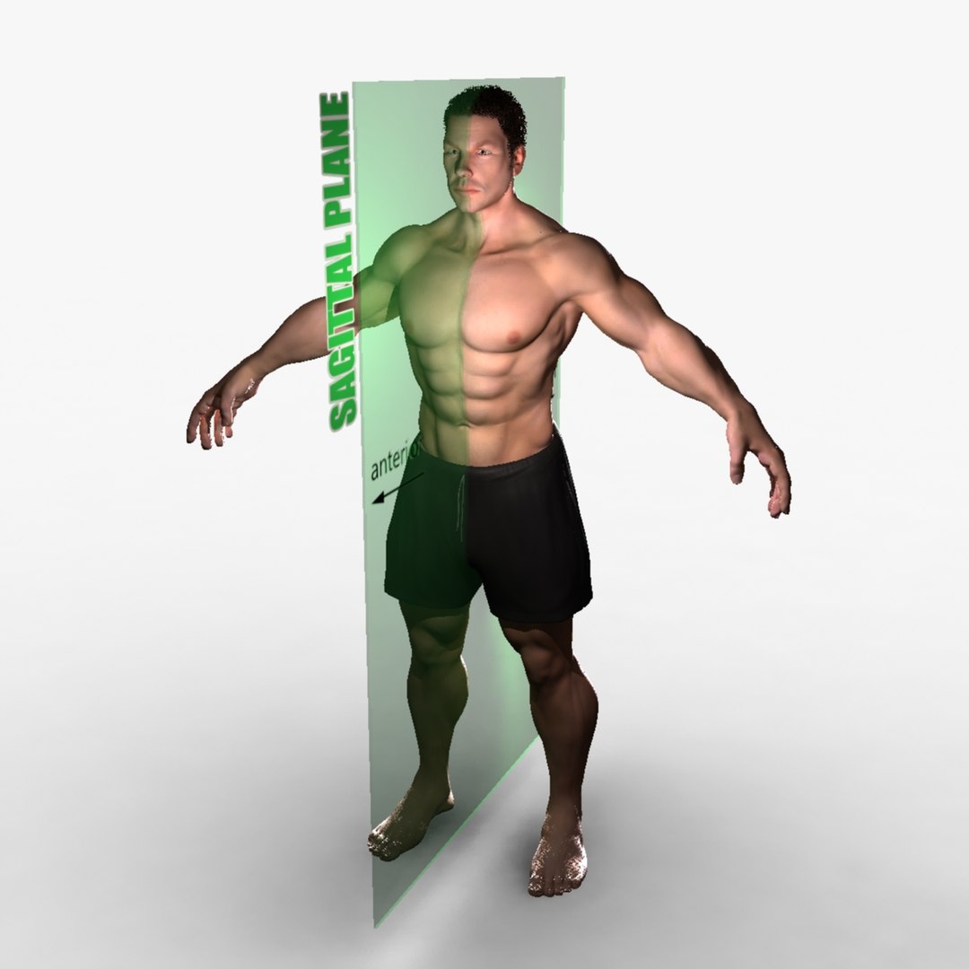 3d planes body male