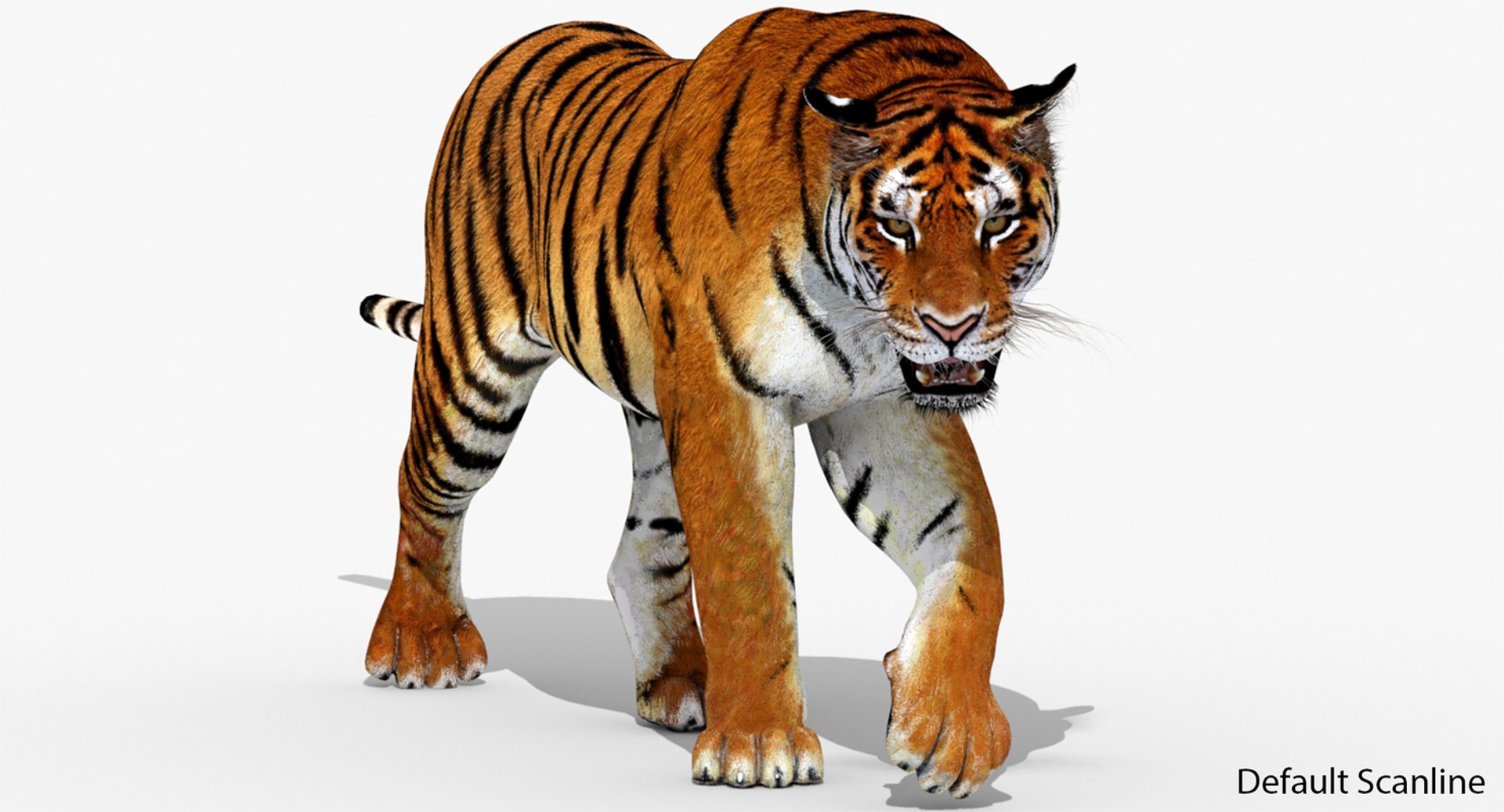 3D Tiger Animation - TurboSquid 1252636