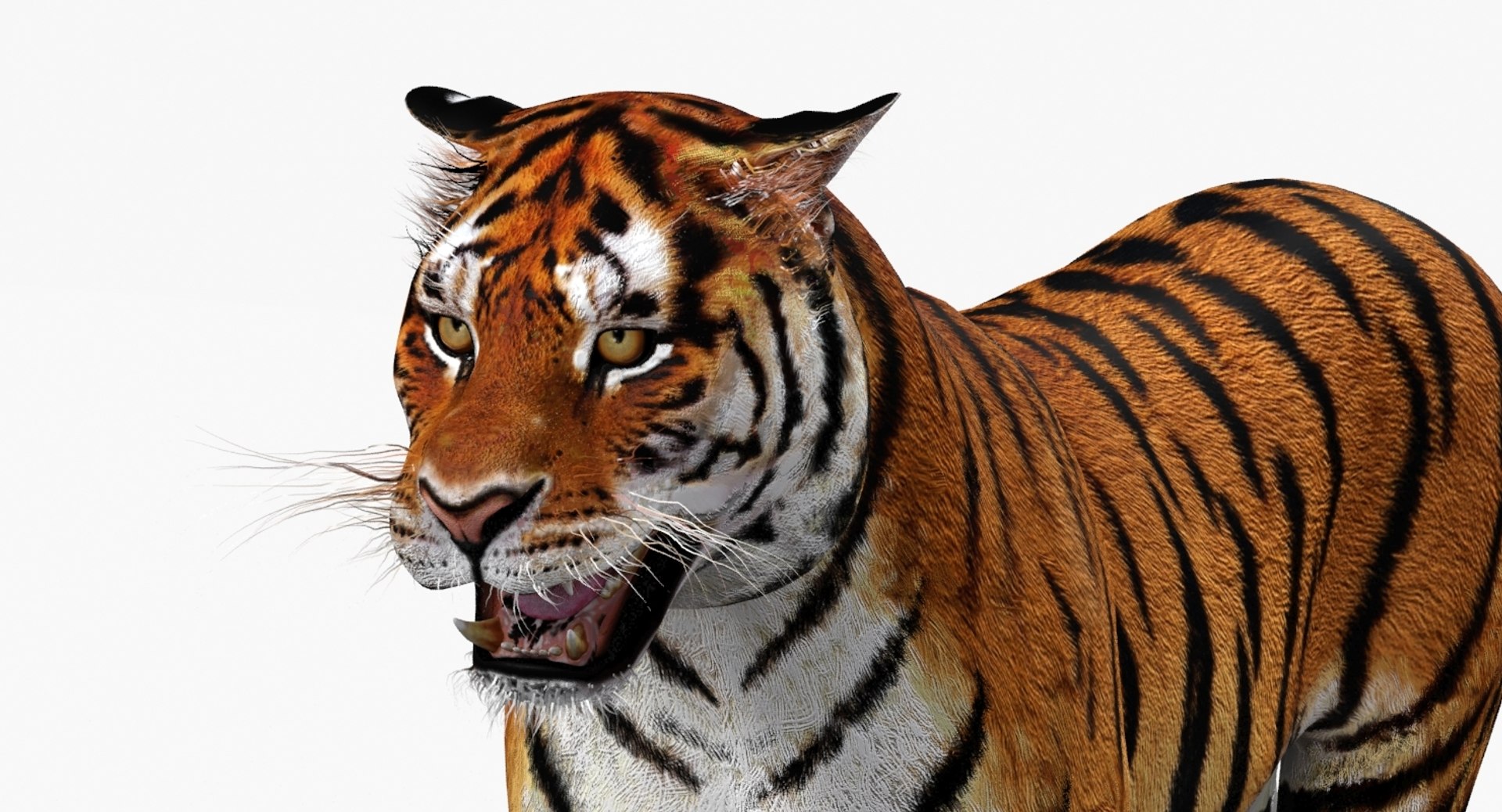 3D Tiger Animation - TurboSquid 1252636