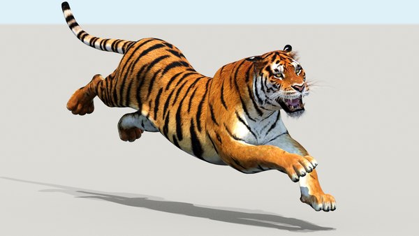3D tiger animation - TurboSquid 1252636