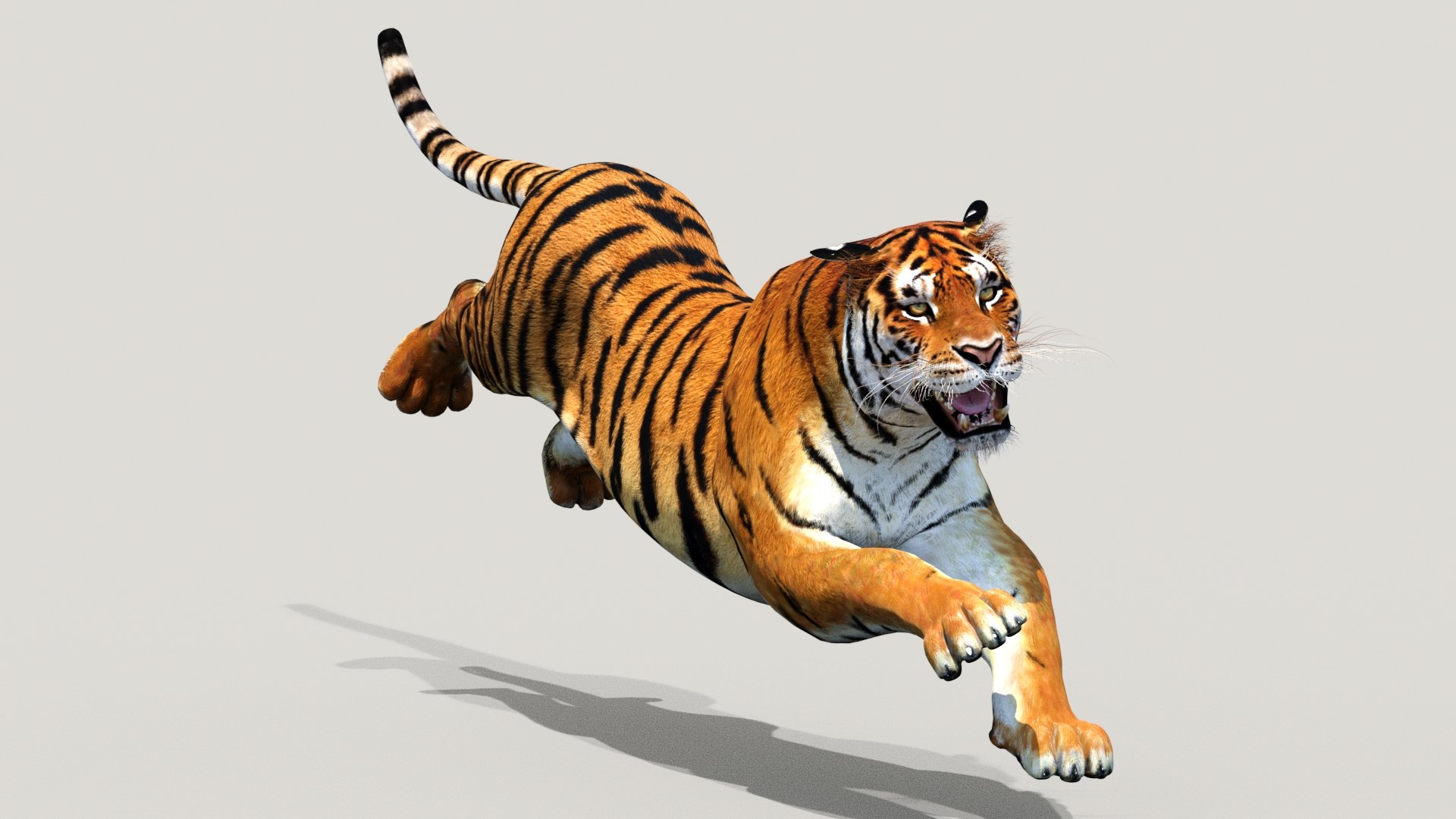 3D Tiger Animation - TurboSquid 1252636