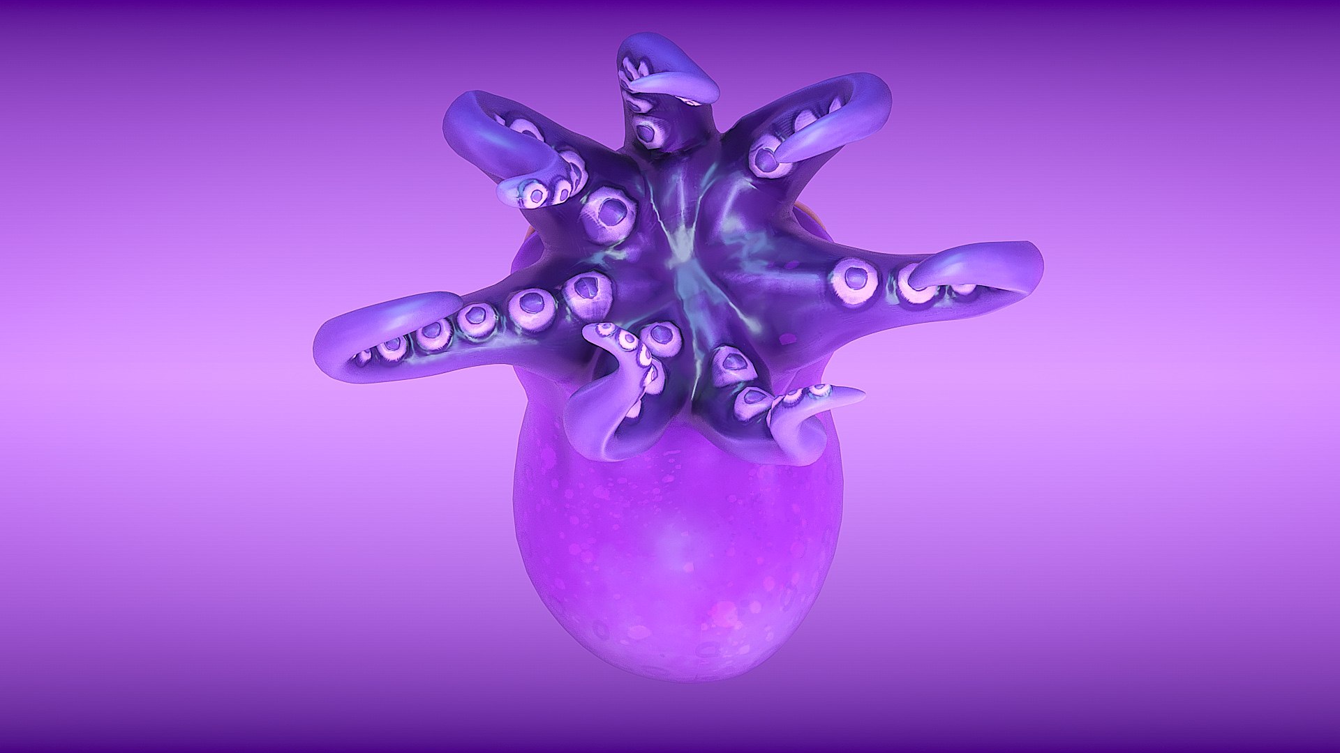 3D Cartoon Octopus Low-poly Model - TurboSquid 2302972
