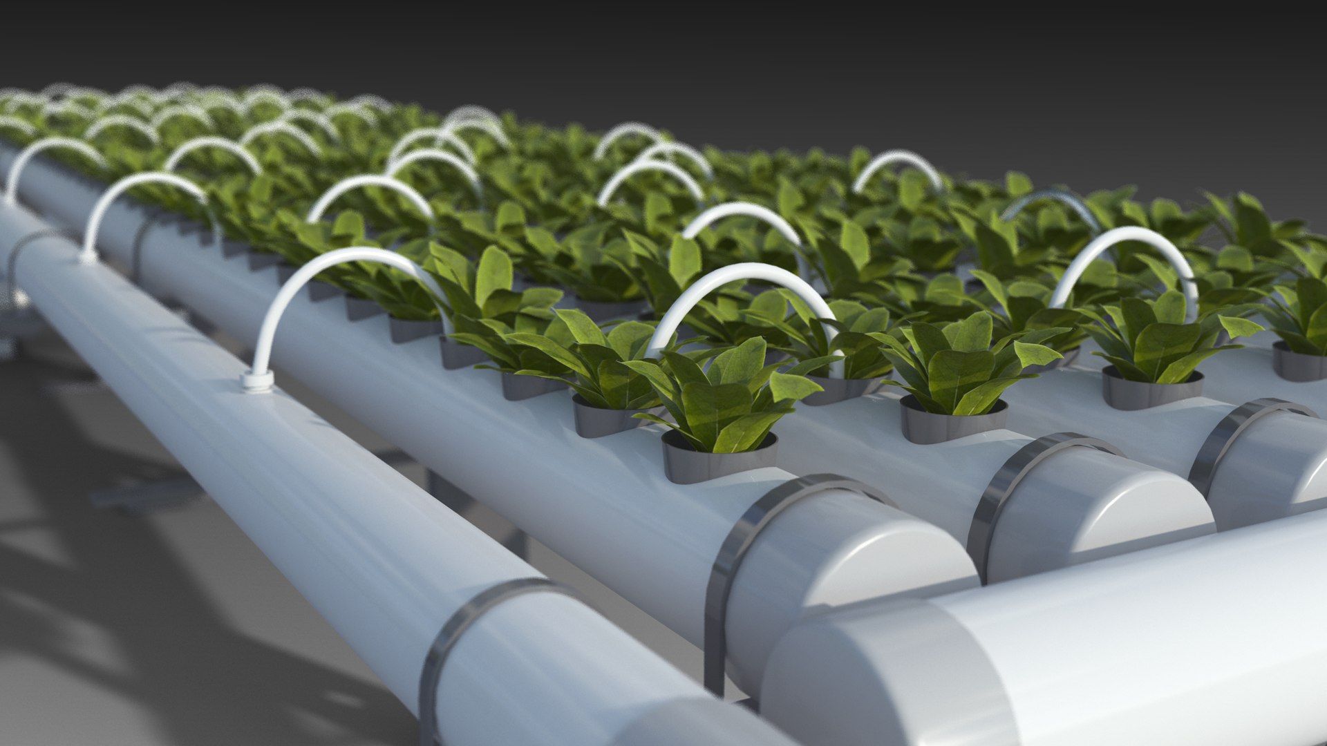 Hydroponics Farm 3D - TurboSquid 1532723