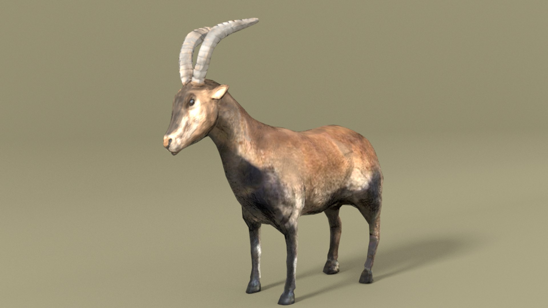 Goat 3D Model - TurboSquid 1316775