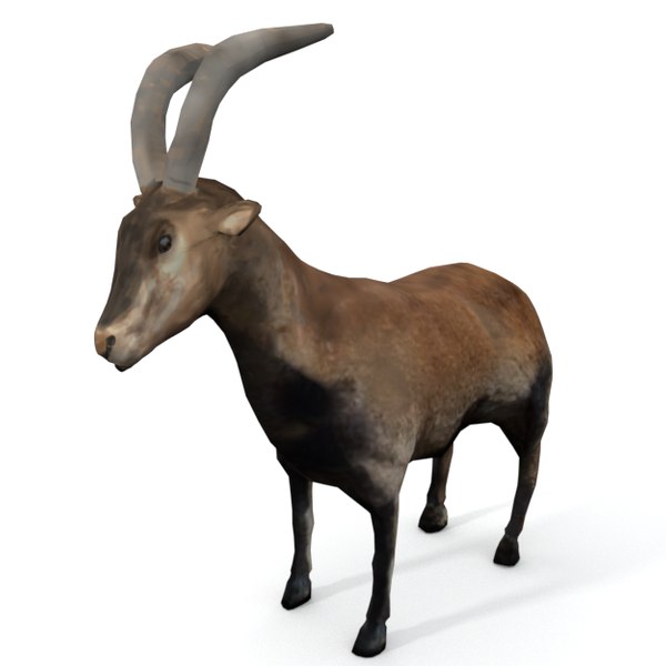 Bode Modelo 3D - TurboSquid 1316775