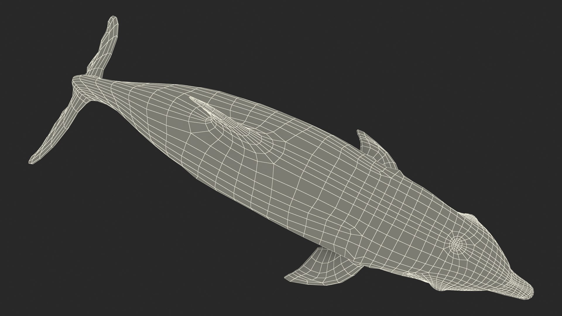 3D Dolphin Swimming And Jumping Animated For Cinema 4D - TurboSquid 2138067