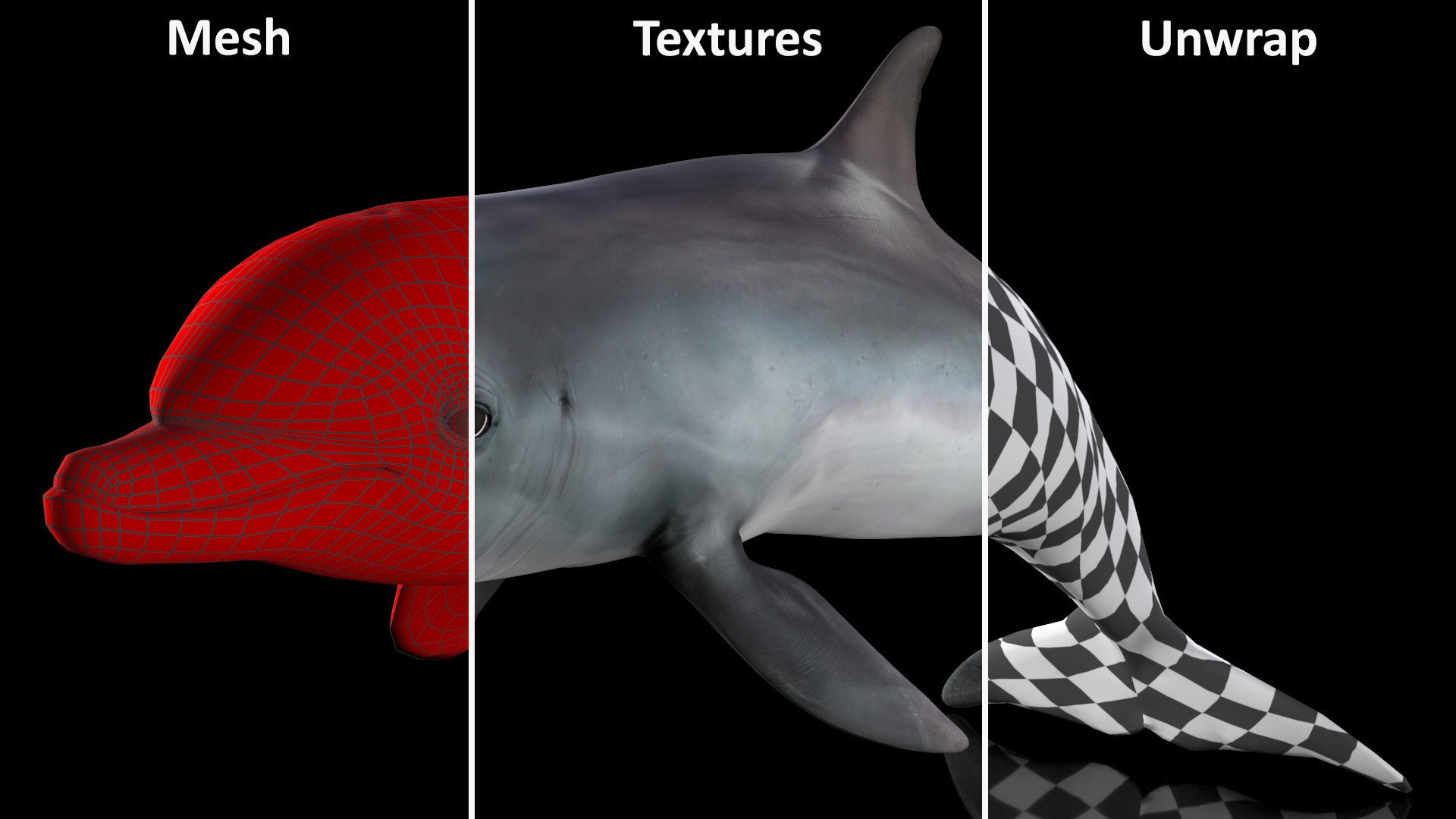 3D Dolphin Swimming And Jumping Animated For Cinema 4D - TurboSquid 2138067