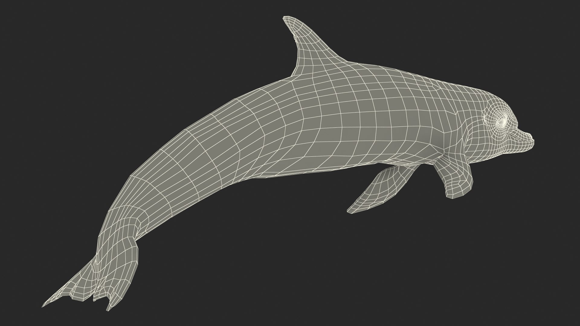 3D Dolphin Swimming And Jumping Animated For Cinema 4D - TurboSquid 2138067