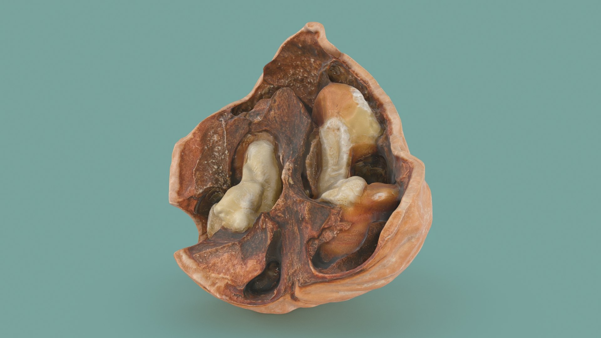 walnut shell halves