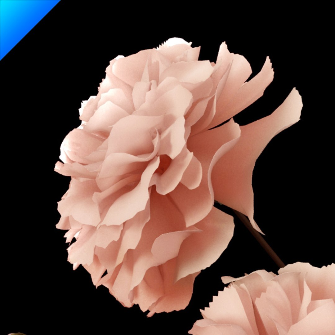 3d Flower Arrangement Design