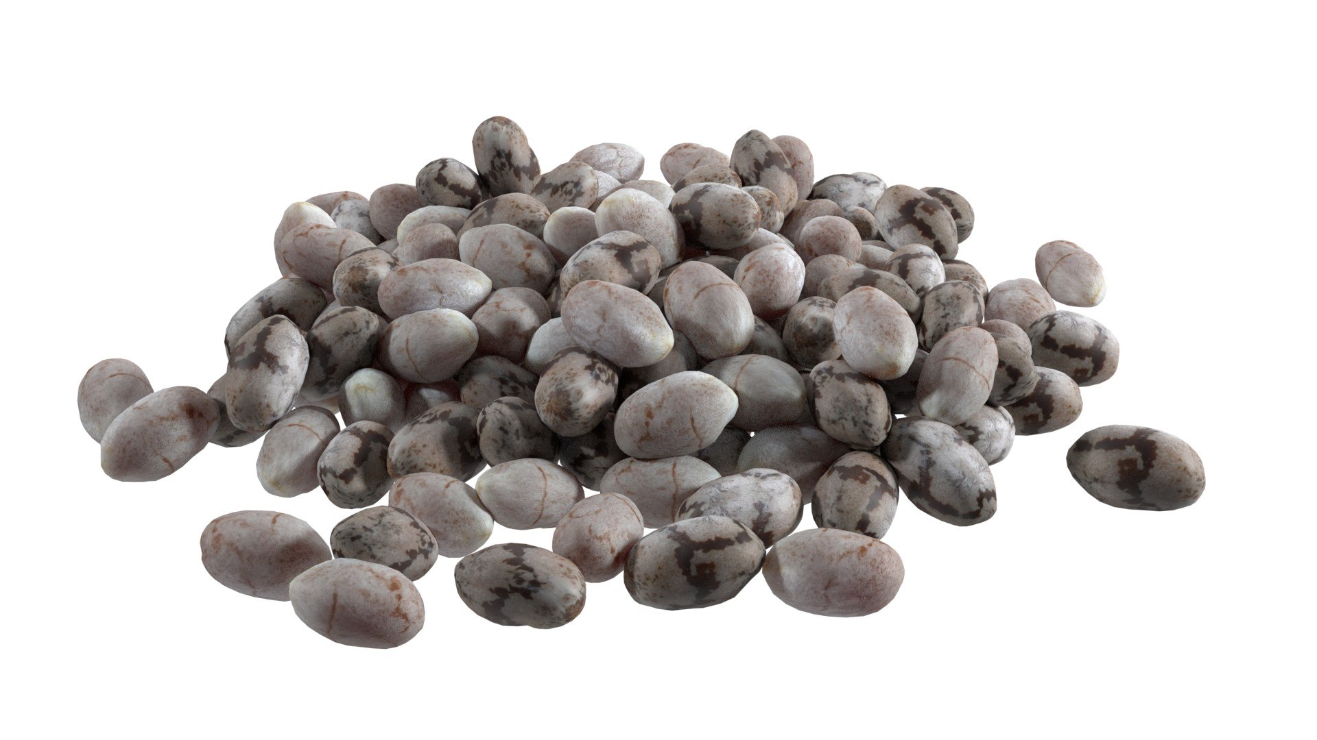 Chia Seed Collection 3D Model - TurboSquid 2408002