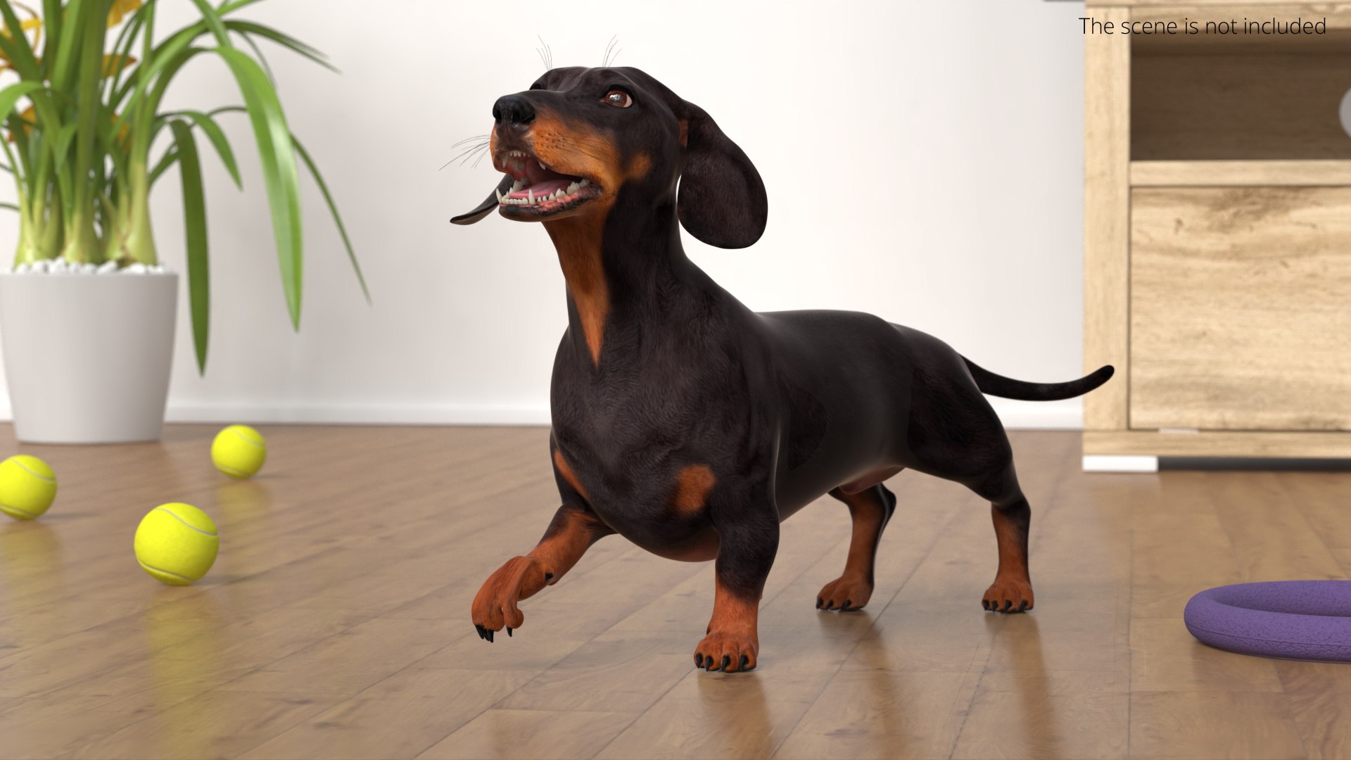 3D Small Breed Long Dog With Droopy Ears Black Rigged For Maya Model ...