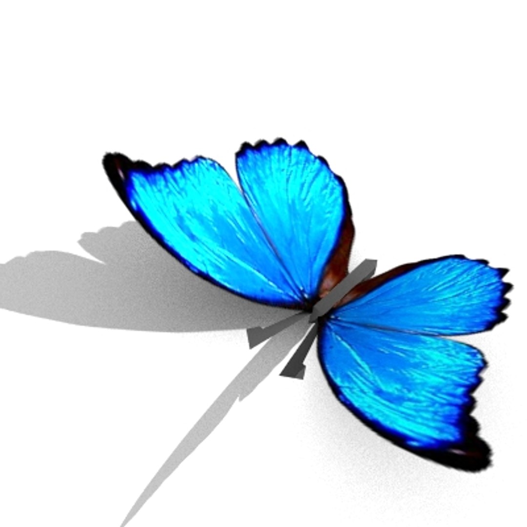 3d Model Of 7 Butterflys