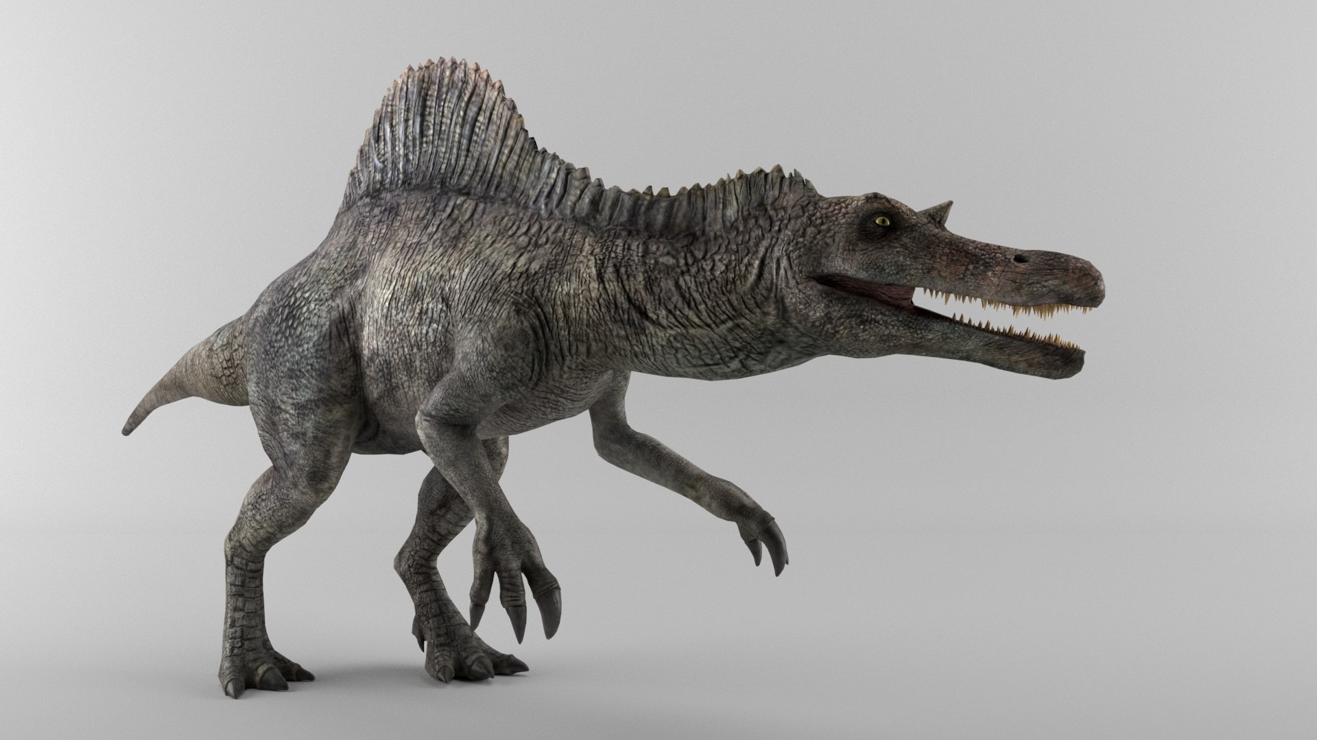 3D Realistic Spinosaurus Rigged - TurboSquid 1455375