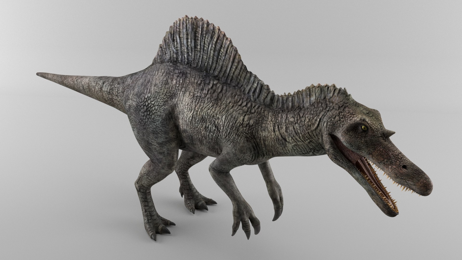 3D Realistic Spinosaurus Rigged - TurboSquid 1455375