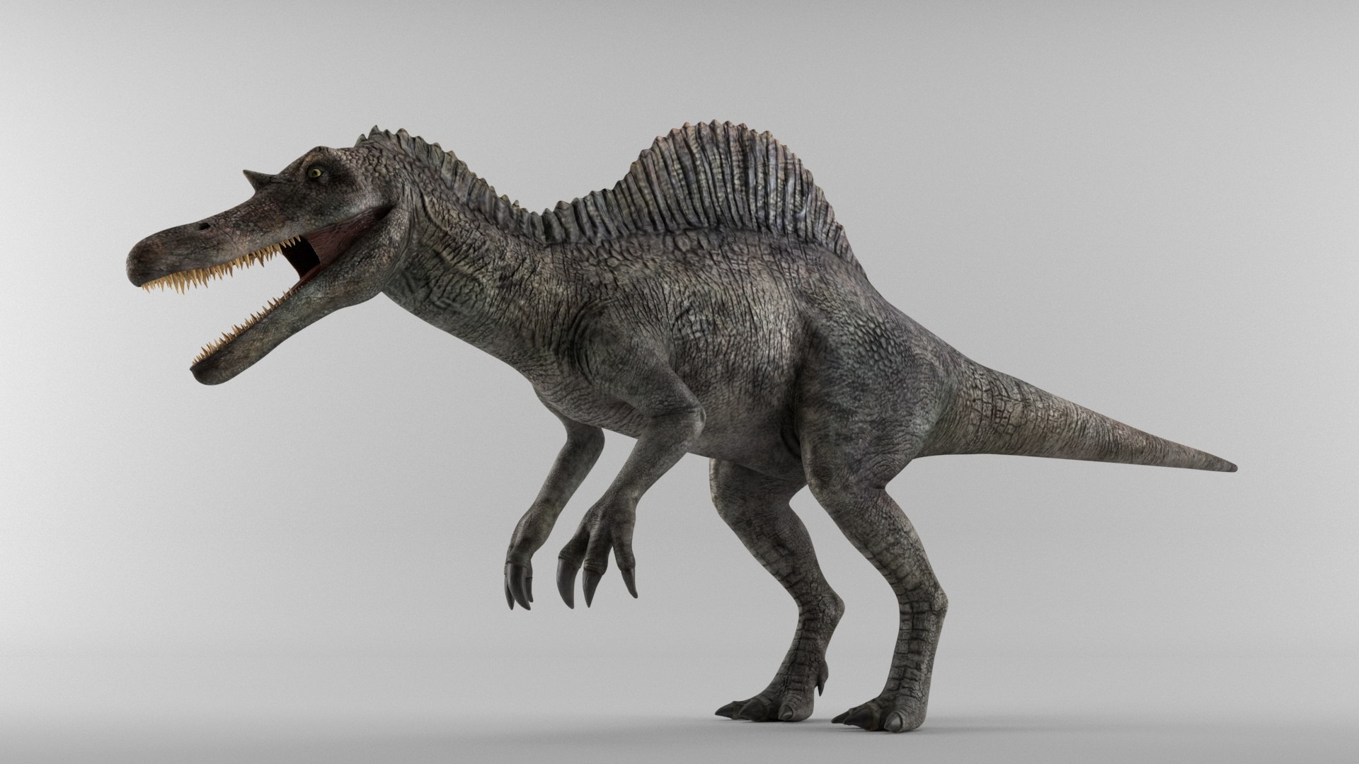 3D Realistic Spinosaurus Rigged - TurboSquid 1455375