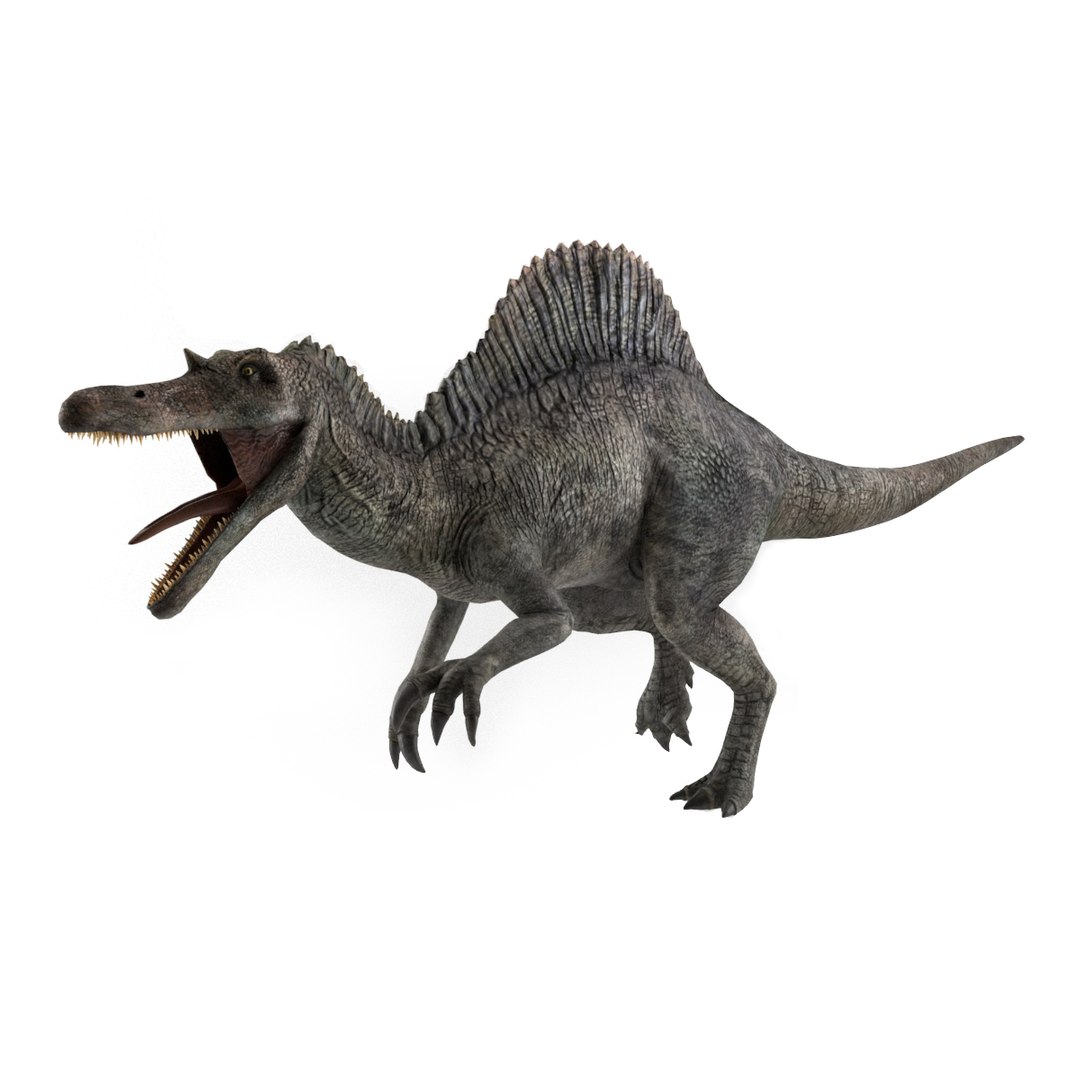 3D Realistic Spinosaurus Rigged - TurboSquid 1455375