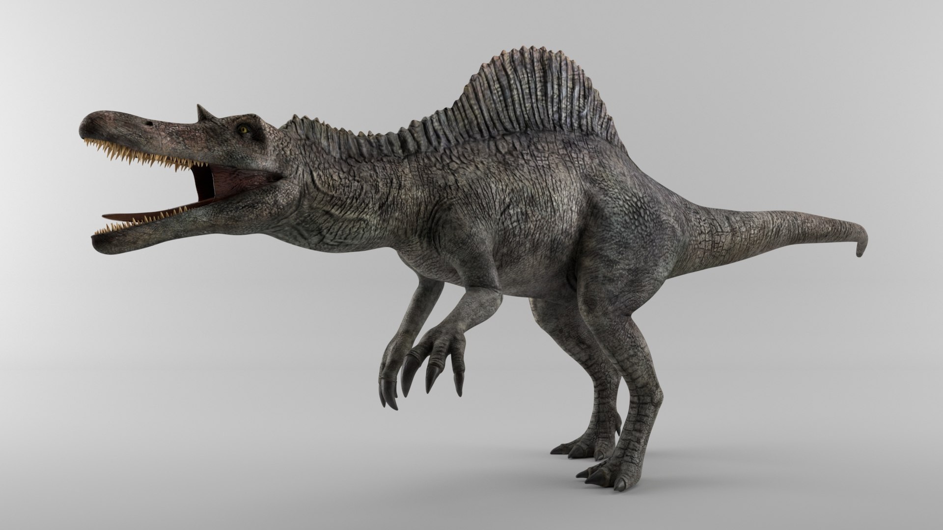 3D Realistic Spinosaurus Rigged - TurboSquid 1455375