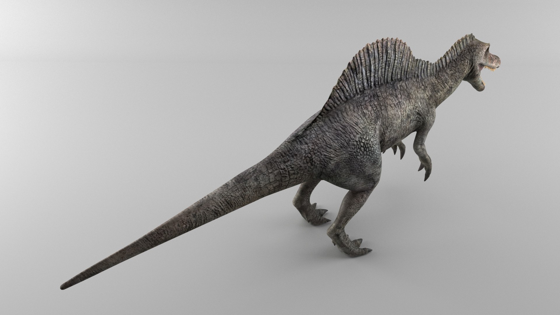 3D Realistic Spinosaurus Rigged - TurboSquid 1455375