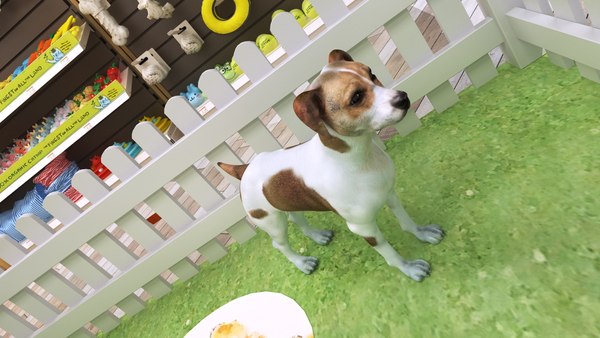 3D model Pet Shop Collection - TurboSquid 1798496