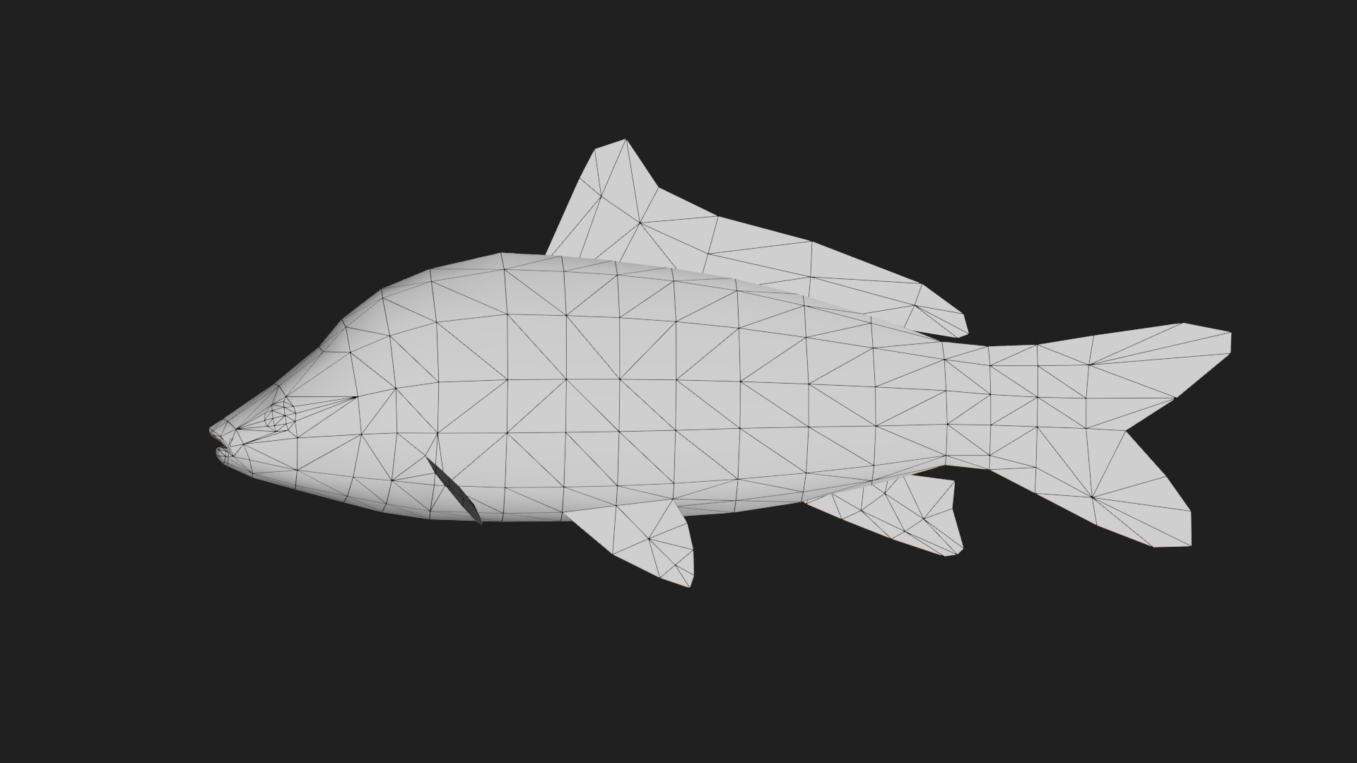 Carp 3D - TurboSquid 2123248