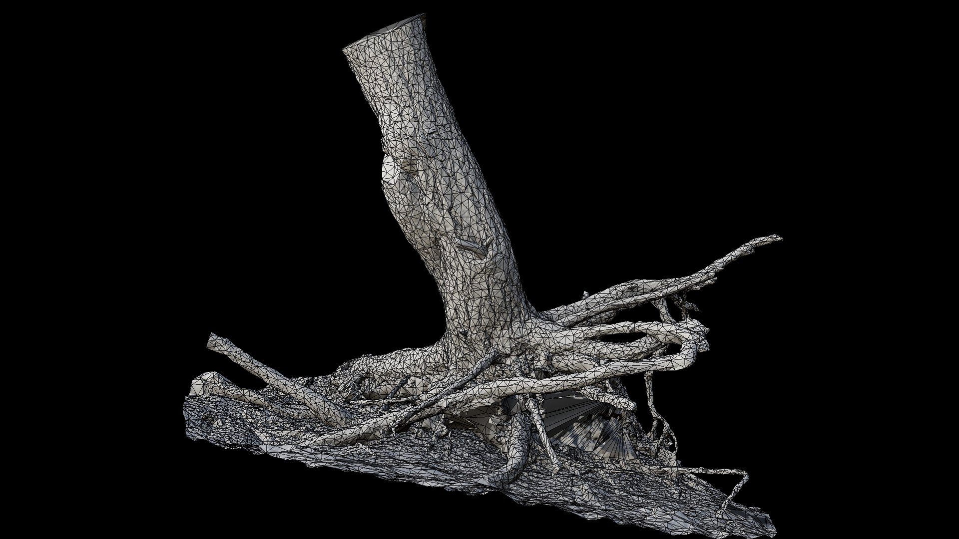 Broken Tree Trunk Pine Roots Ground Photogrammetry 3D Model ...