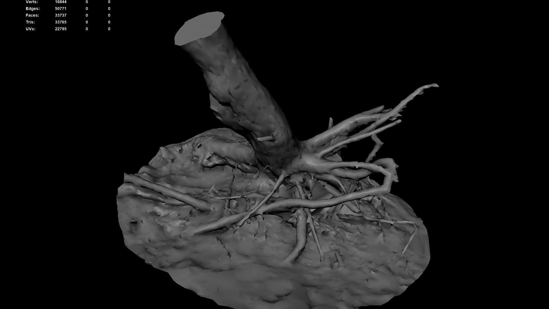 Broken Tree Trunk Pine Roots Ground Photogrammetry 3D Model ...