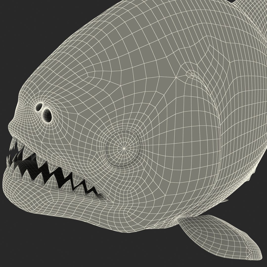 3d piranha modelled